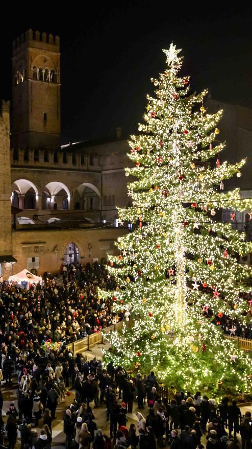 Bologna Welcome | Things to do and visit in Bologna - Tourist Office ...